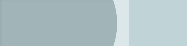 What's in Your LinkedIn Profile's Background? - Janet L. FALK